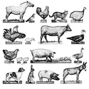 Beetle-browed - Meaning & Origin Of The Phrase