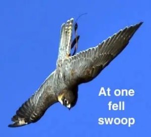 At One Fell Swoop - Meaning & Origin Of The Phrase