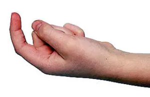 Beck And Call - Meaning & Origin Of The Phrase